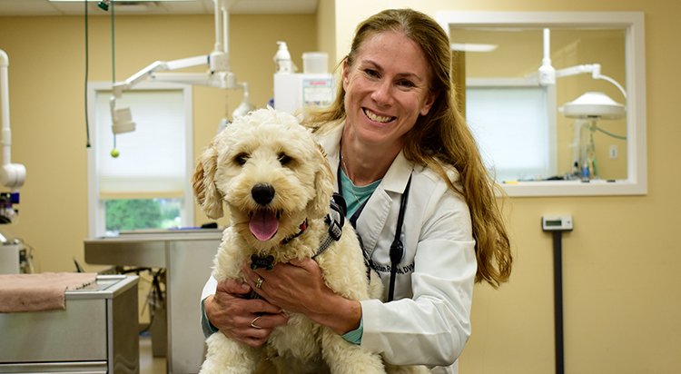 Less Stress Veterinary Care - Portsmouth Veterinary Clinic